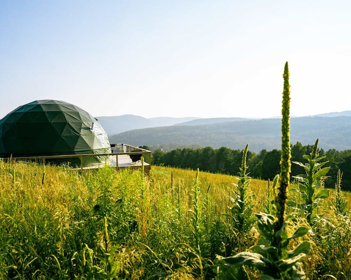 Catskills Glamping At 'The Deer Dome' Near All Sta - Oneonta, NY