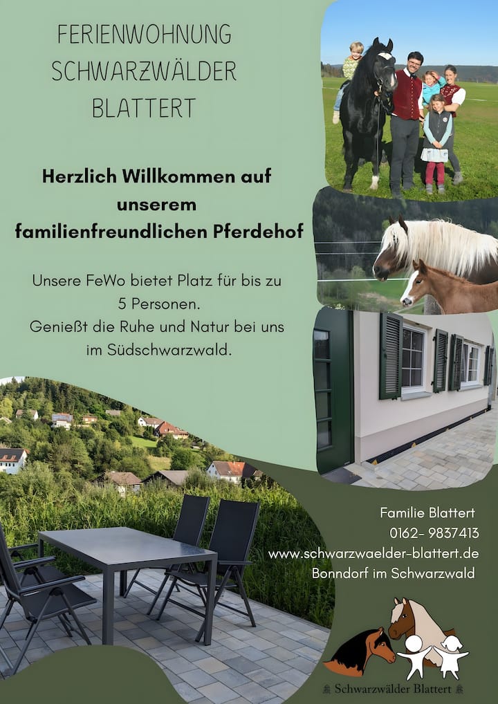 Fewo Schwarzwälder Blattert - Bonndorf