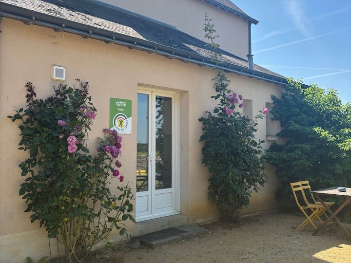 La Petite Maison Du Château De La Viaudière - Pays de la Loire