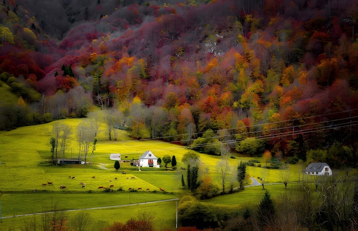 Gite Les Alberts - L'estagnol - Arrens-Marsous