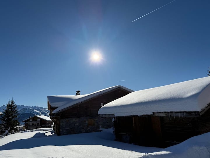 Les Saisies : Luxueux Chalet Face Aux Pistes/esf - Hauteluce