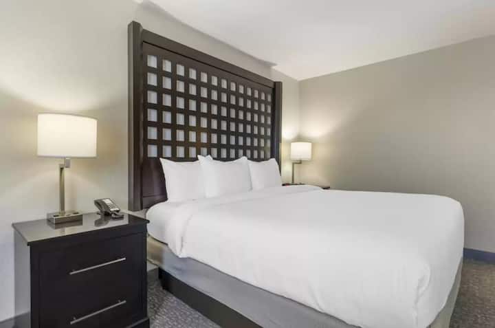 Your Stay In The Heart Of Plano | Free Parking - Plano, TX