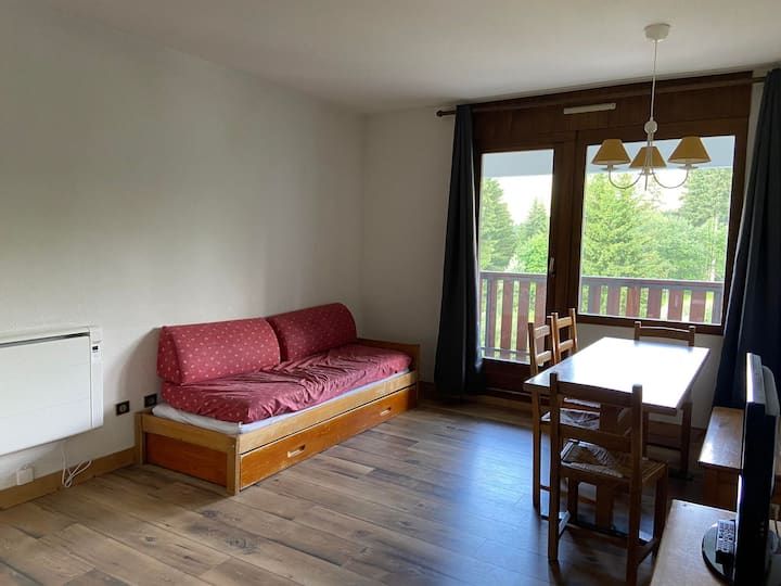 Appartement Le Praz De Lys , 2 Pièces, 6 Pers. - Les Gets
