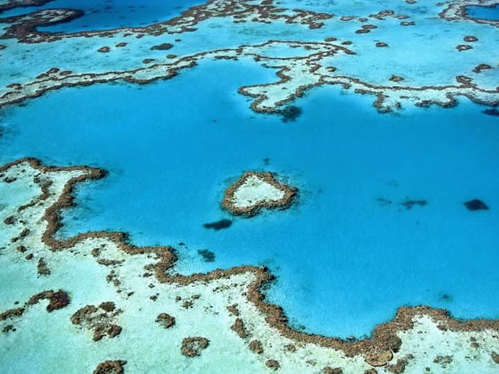 Tropical Mango House Stay - Airlie Beach