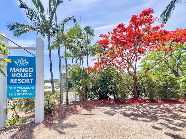 Island Orchid - Airlie Beach