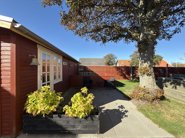 Cozy Basement Oasis Of 30 M² 020026 - Skagen