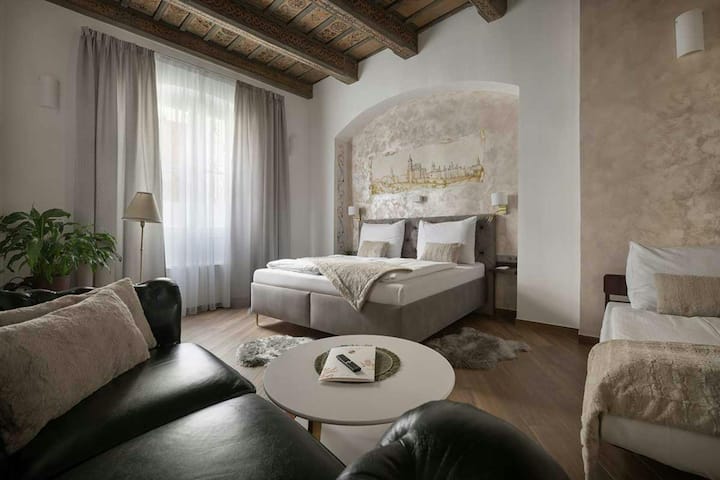 Antonín Dvořák Apartment By Kaiserstein Palace - Prague