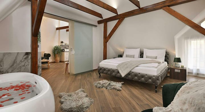 Ema Destinnová Apartment By Kaiserstein Palace - Prague