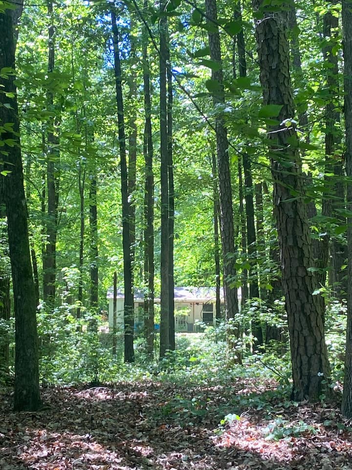 Tiny Retreat With Boat Dock, Lake Hartwell ,Ga - Lavonia, GA