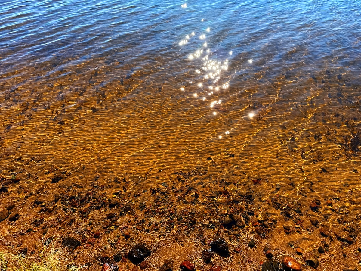 Encantadora cabaña en Upper Buckatabon – Aventura y R - Casas en renta ...