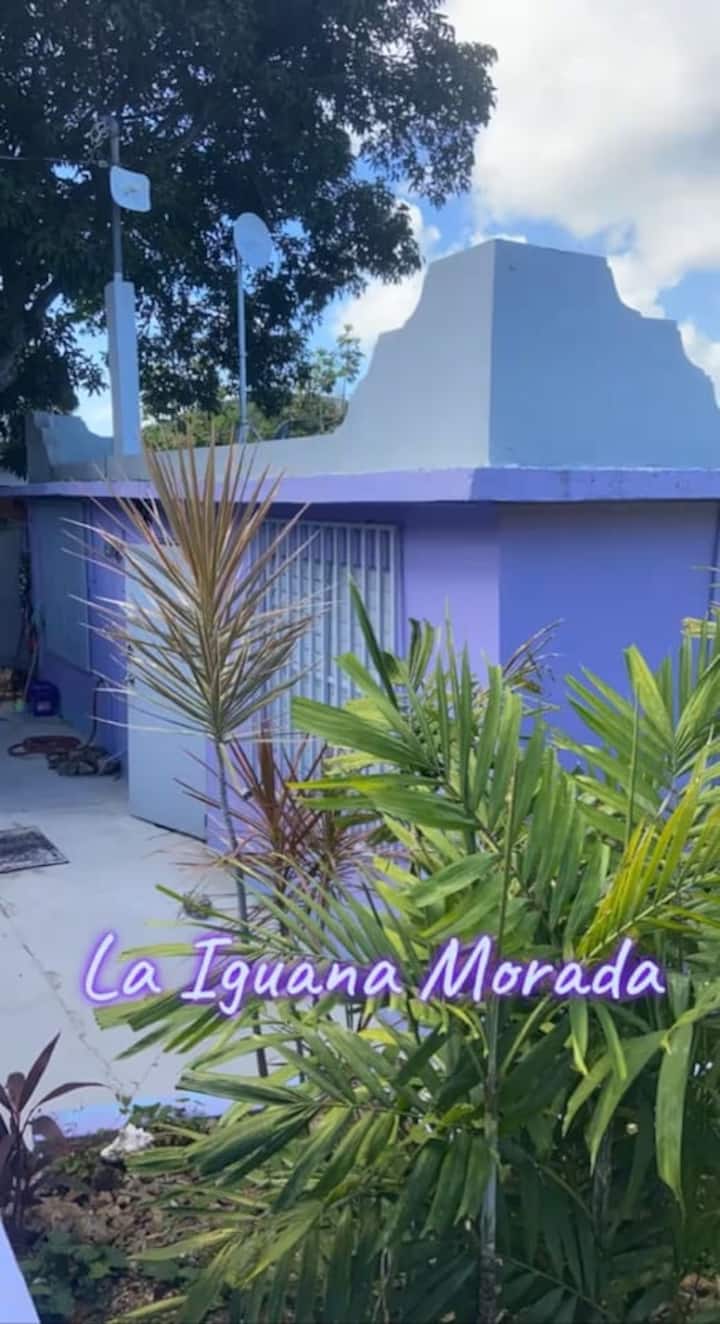 La Iguana Morada, Walk To Ferry, A/c, Wifi, Biobay - Vieques