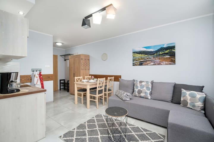 Przemysłowa 16 | Charming Studio | Parking - Karpacz