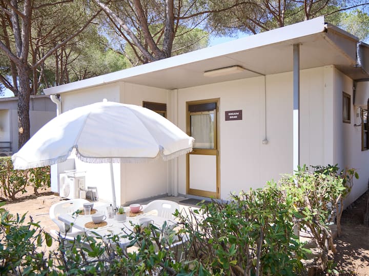 Costa D'argento By Interhome - Capalbio