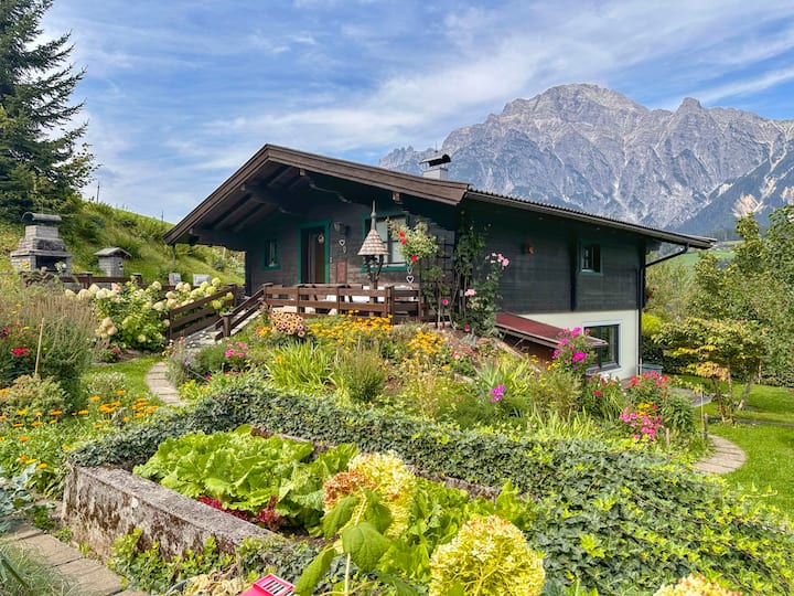 Petit Gîte Près De Leogang, Région De Salzbourg - Leogang