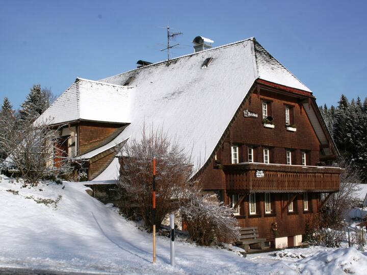 Appartement à Dachsberg-urberg - Höchenschwand
