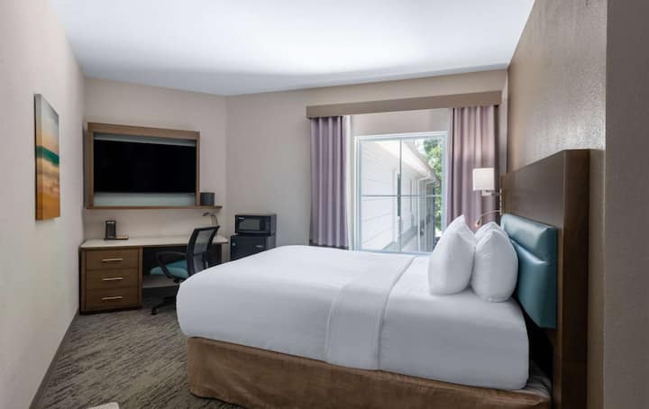 Tryp Tallahassee | Queen Bed | Near Downtown - Tallahassee, FL