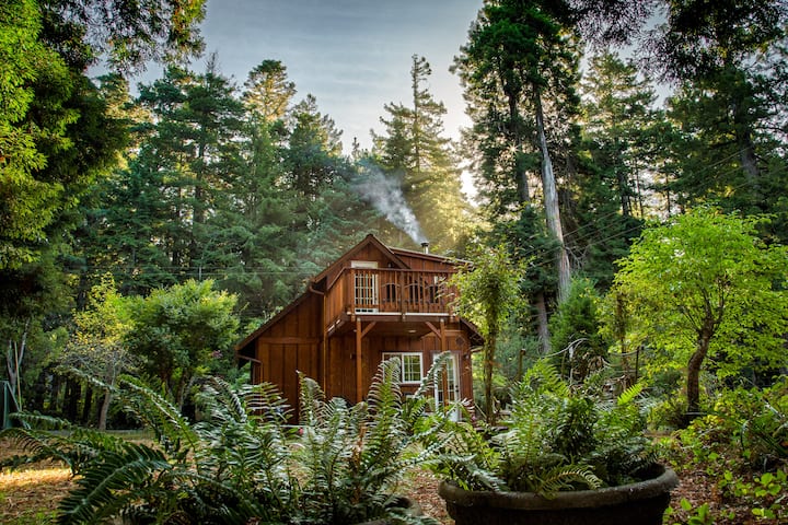 Magical Redwood Getaway-outdoor Tub & Dog-friendly - Fort Bragg, CA