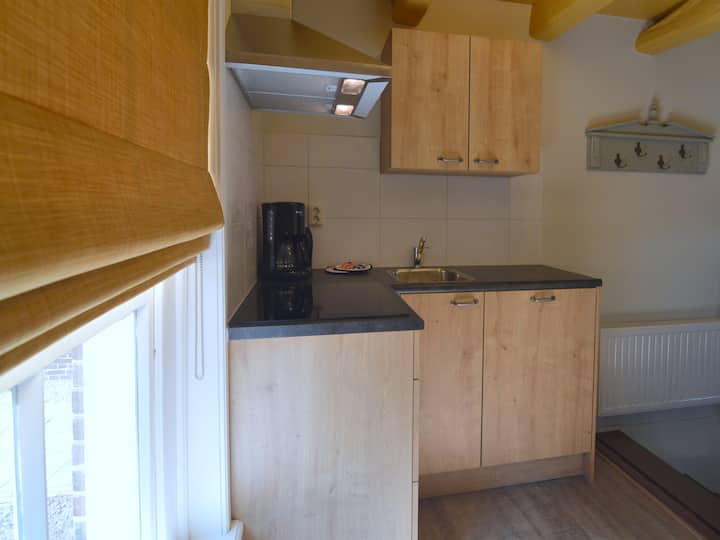 Ferme à Geesteren Près Des Forêts - Borculo