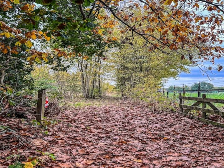 Maison De Vacances Confortable Dans - Drenthe