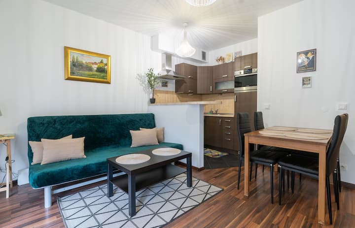 Orkana Spacious Apartment - Katowice
