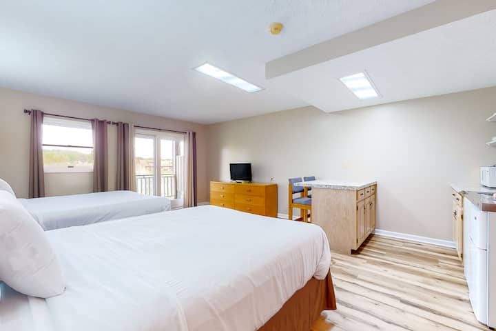 Serene Studio W Patio・near Lake・dog Friendly・gym - White Pine, TN