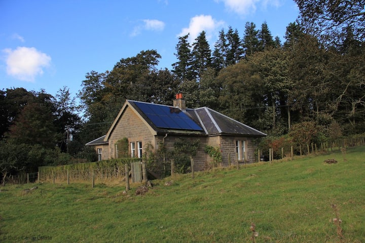 Azalea Cottage - Saint Abbs