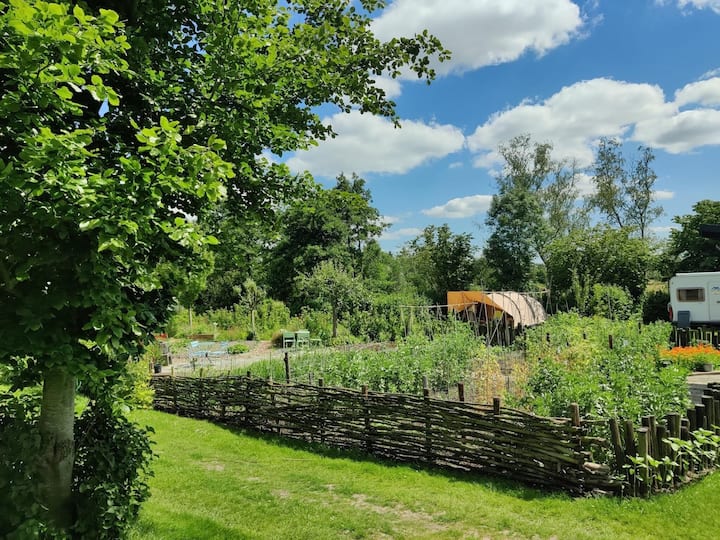 Cabane Dans La Nature Près Des Sentiers - Heerenveen