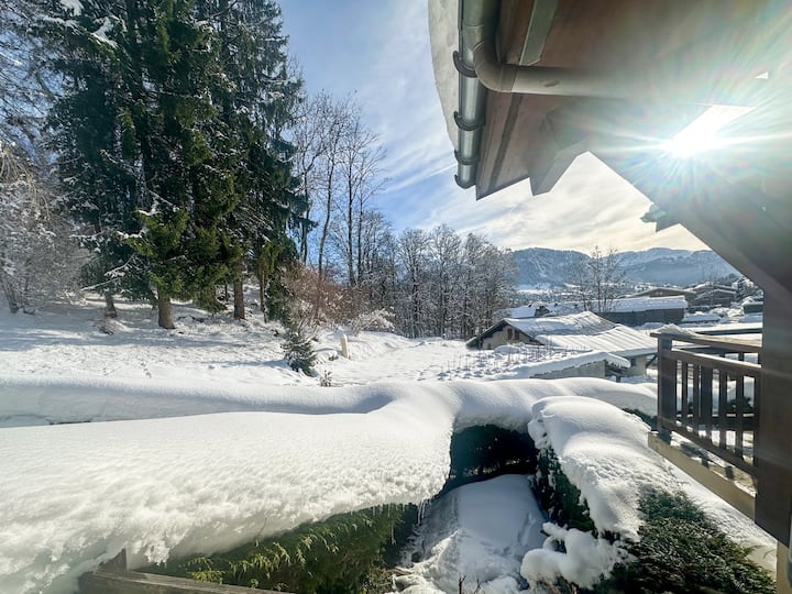 Sapins Blancs Au Pied Du Jaillet Megève - Flumet