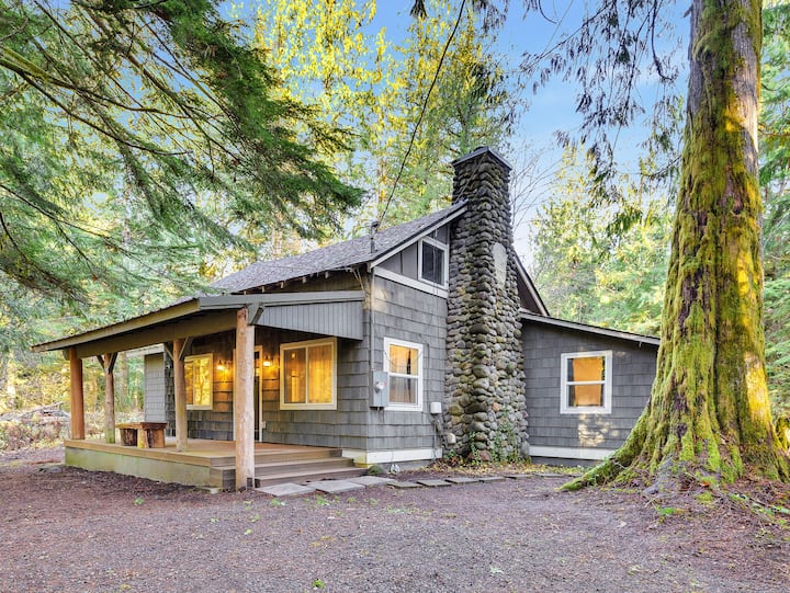 Lolo Bear Cabin Rustic Pets Ok Mt Hood Retreat - Government Camp, OR