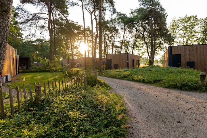 Vakantievilla Boslodge 2 - Winterswijk