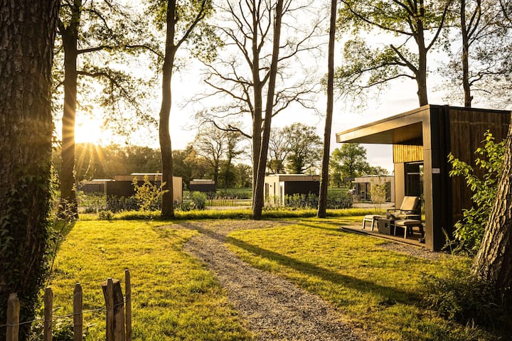 Vakantievilla Boslodge 2 Met Sauna En Hondenhek - Winterswijk