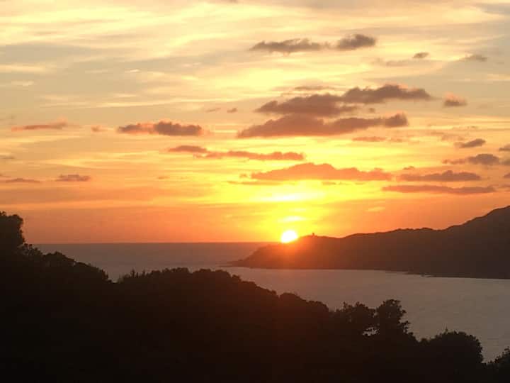 Mini Villa Vue Jardin Dans Résidence Calme Wifi - Serra-di-Ferro