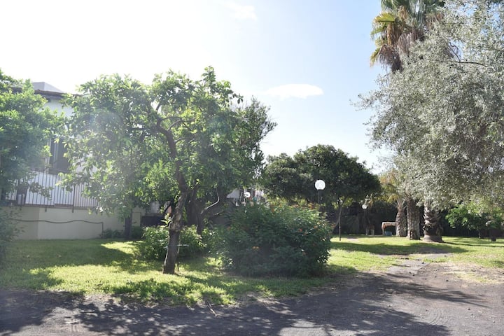 Casa Dell'eucalyptus - Ginestra Ar - Acireale