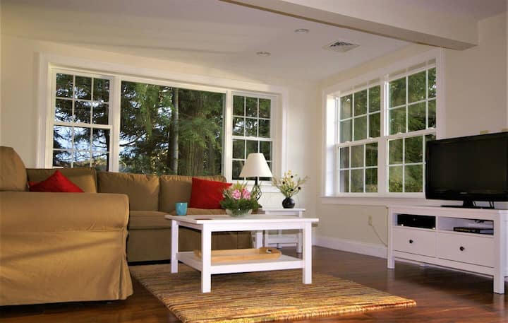 Waterfront Getaway Dog-friendly + Peaceful Setting - New London, NH