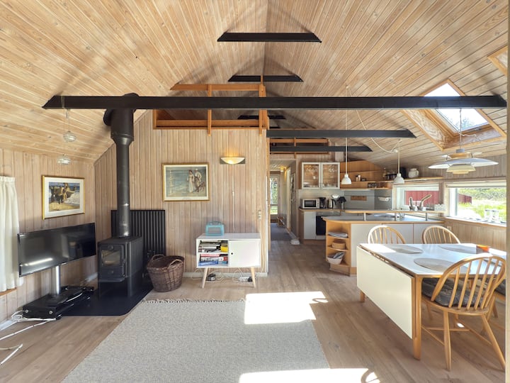 Wonderful Nature Of Kandestederne 021610 - Skagen