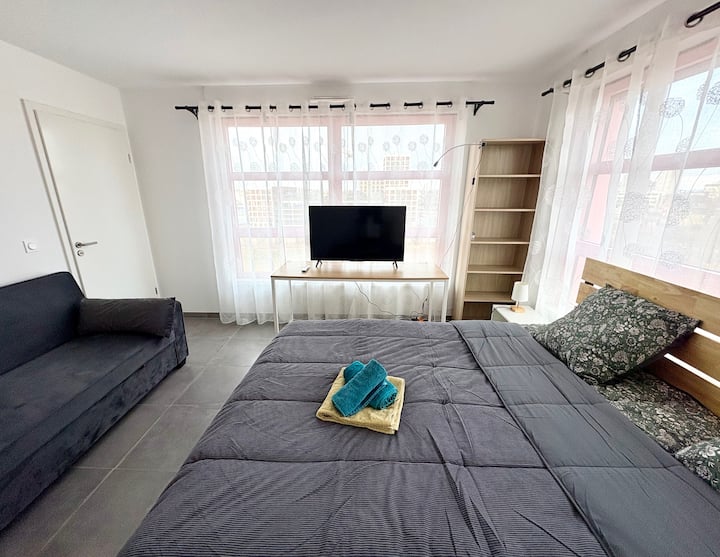 Studio Lumineux Avec Vue Sur La Forêt-noire - Strasbourg