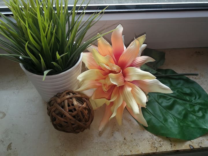 Ferienwohnung 60 M² - Hayingen