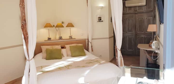 Agapanthe - Tourrettes-sur-Loup