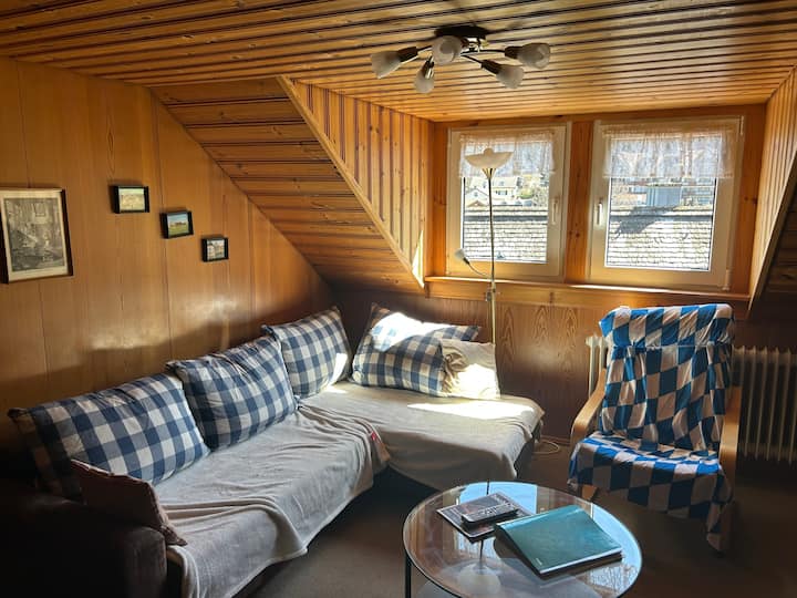 Große Ferienwohnung Oberzarten (300684) - Hinterzarten