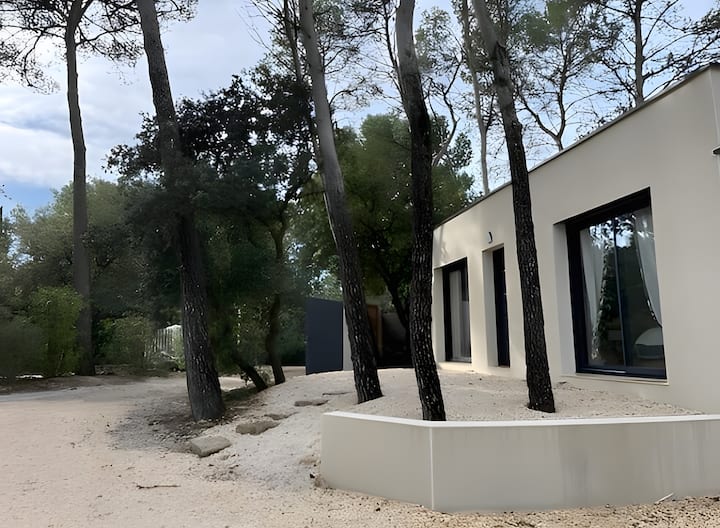 Maison Nichée Au Cœur Des Pins - Carnas