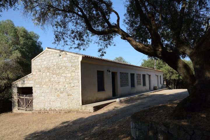 Stazzu Spadulagliu Near Olbia - Monti