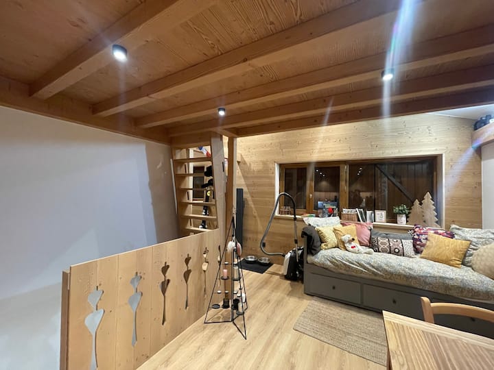 Chalet Des Abeilles - Les Menuires