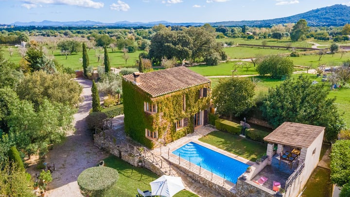 Sa Sort Llarga - Selva