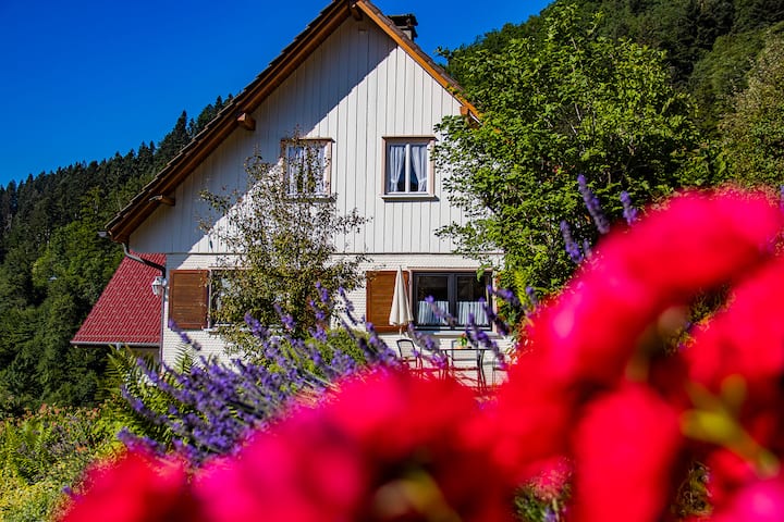 Ferienhaus Niedermättle - Oppenau, Deutschland