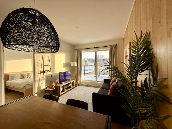 Les Renards Au Centre Ville - Quebec