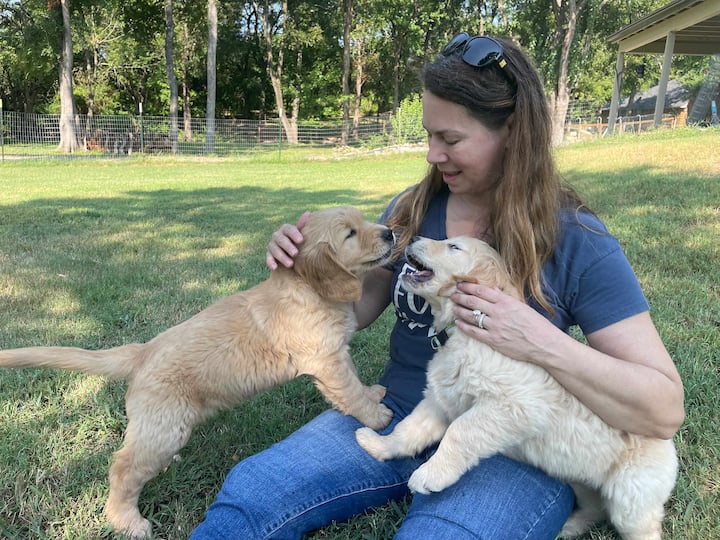 One Acre Family Retreat Near Downtown Mckinney - McKinney, TX