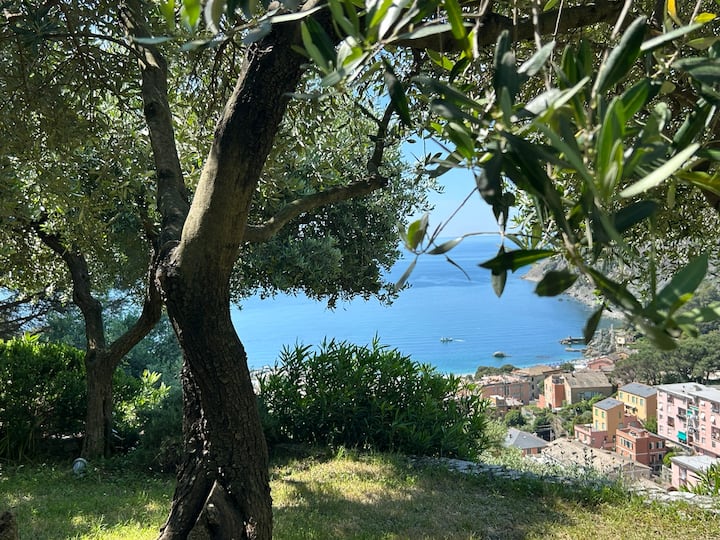 Villa Renata - Amazing Sea View, Garden, Terrrace - Monterosso al Mare