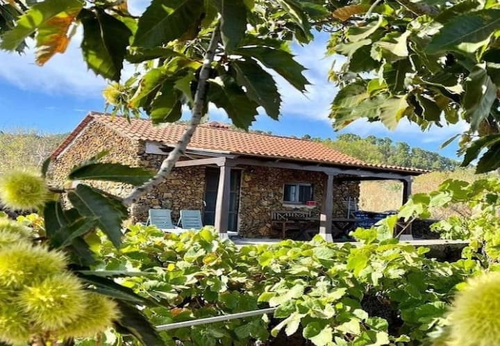 Maison Rurale Confortable Avec De Belles Vues à El - El Hierro