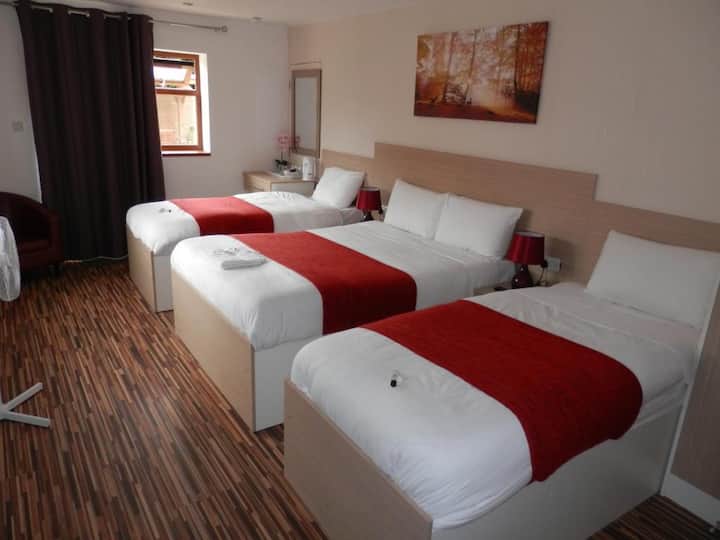 Famille-standard-salle De Bain Privée - Hayes