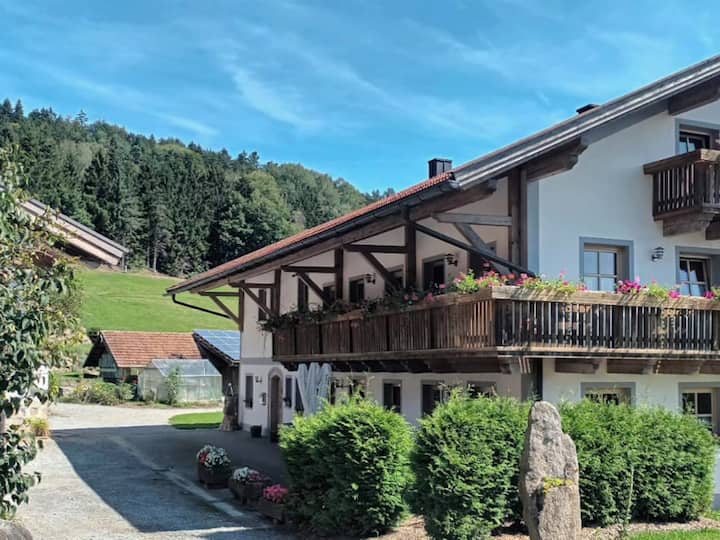 Appartement Moderne Dans La Forêt Bavaroise - Viechtach